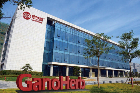 Dried Ganoderma Lucidum: History, Cultivation, and Cultural Significan – GANOHERB