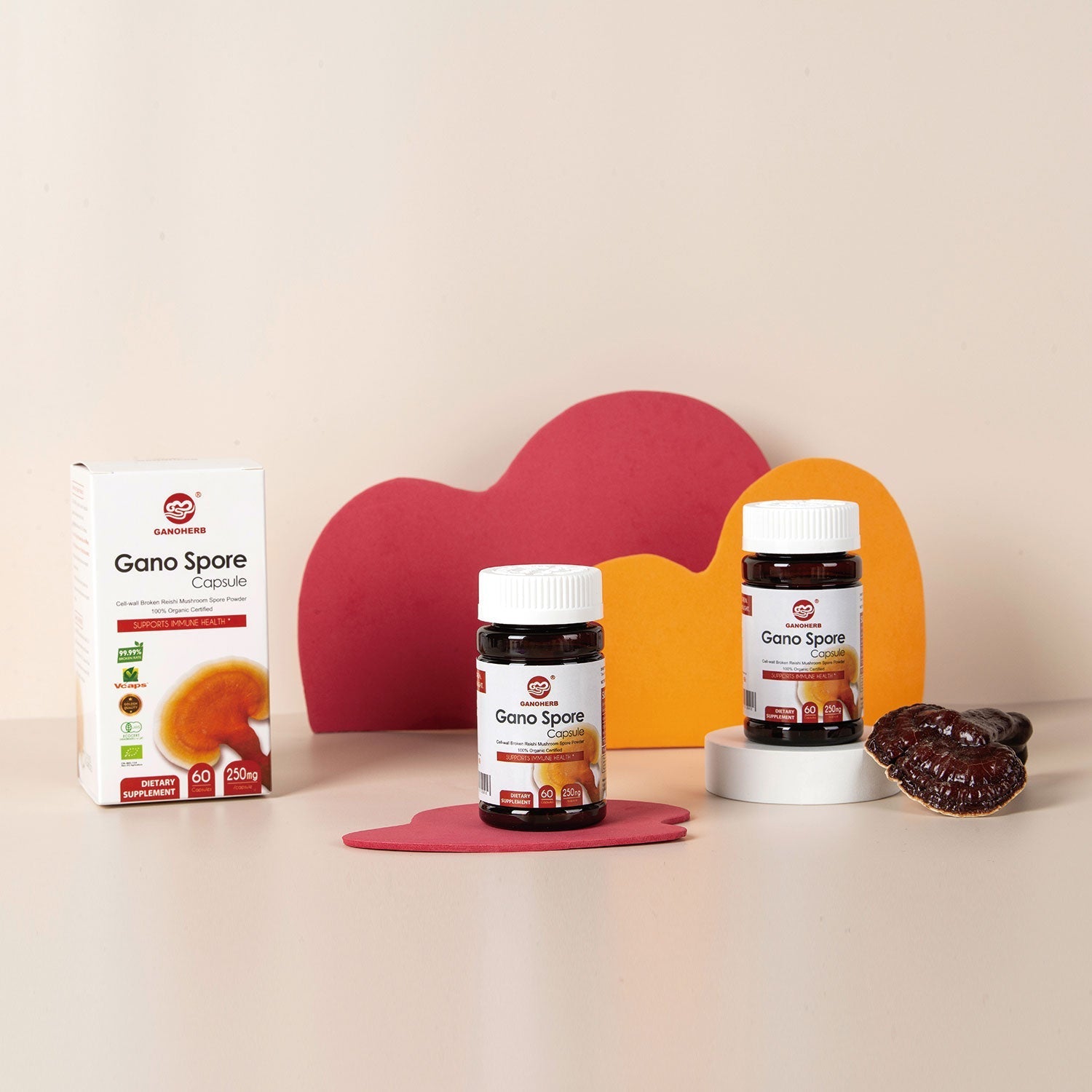 Exploring Mushroom Blend Capsules: Nature's Complex Formulations – GANOHERB