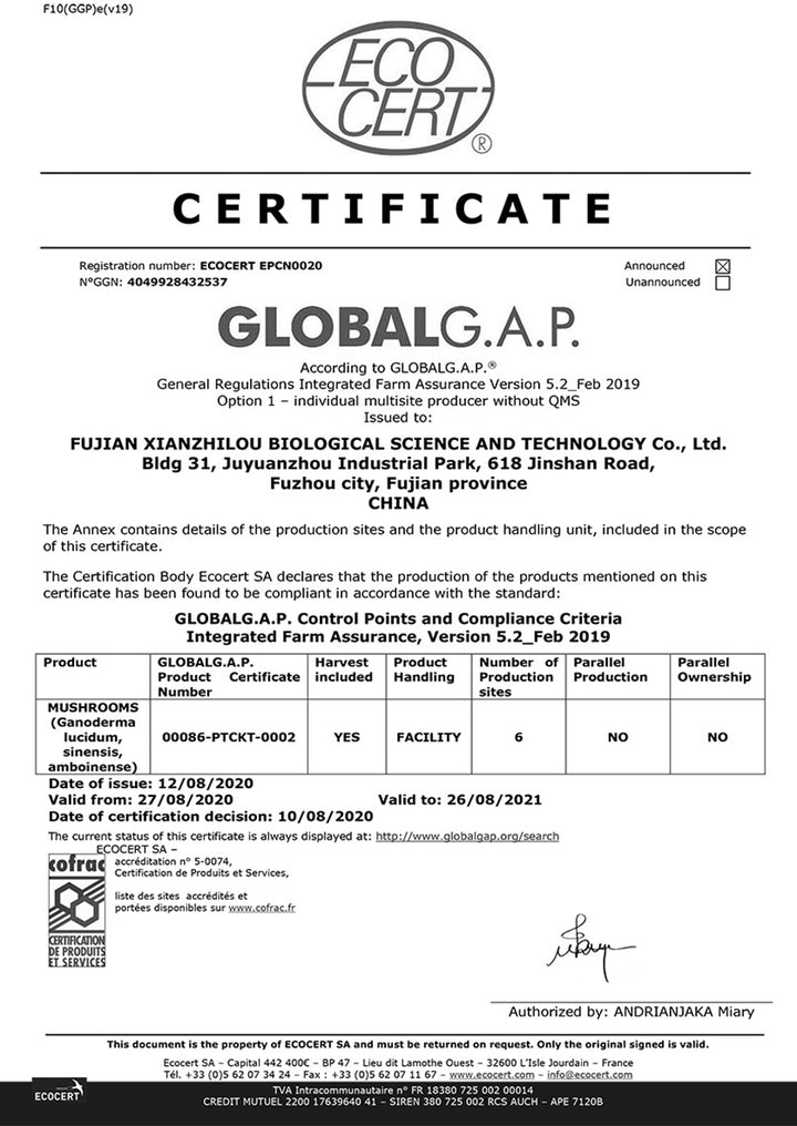 International Certifications – GANOHERB